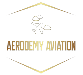 Aerodemy