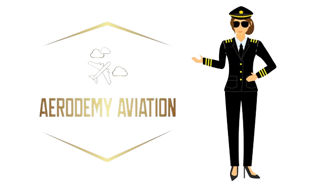 Aerodemy